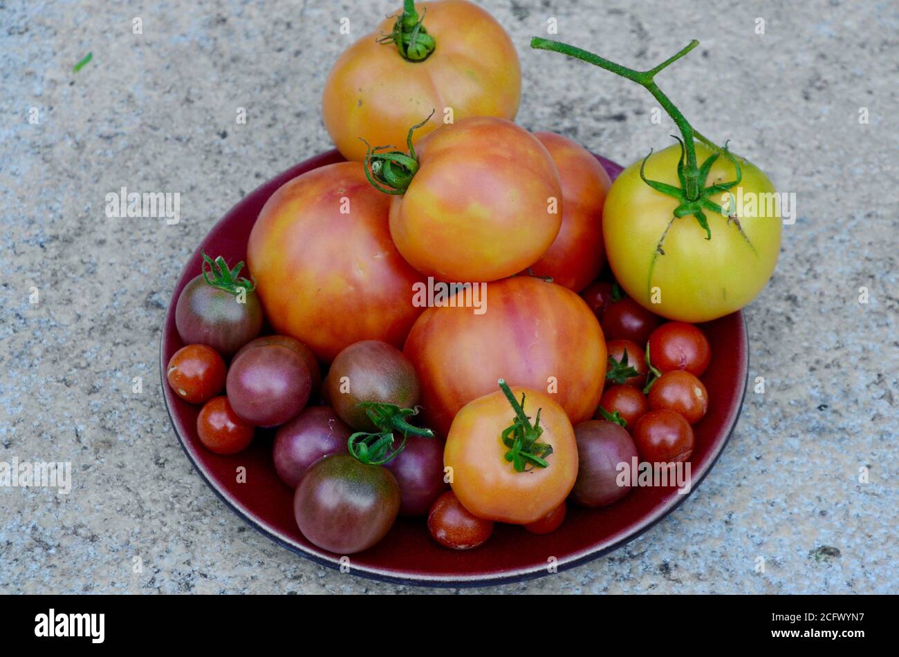 assorted home grown tomatoes on a plate london UK Stock Photo - Alamy