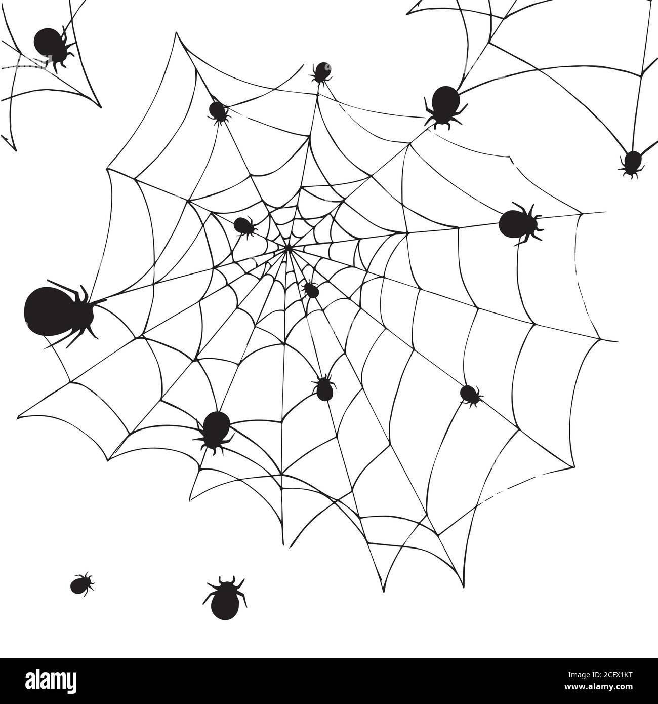 Spider Web On White Background. Halloween Design Elements. Spooky Scary ...