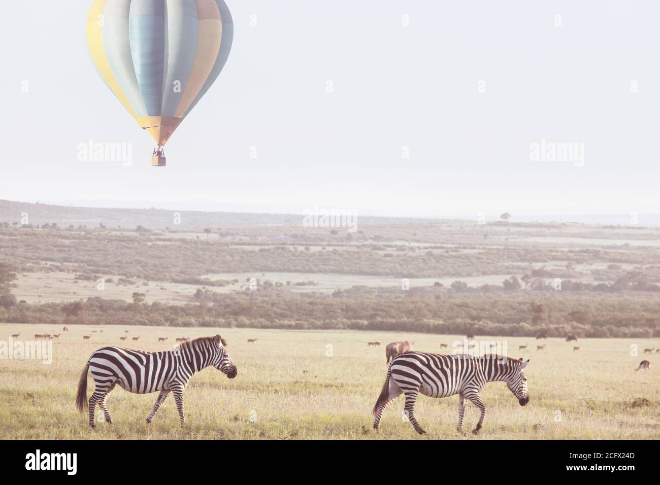 Tourist attraction on african safari in Namibia -balloons over savannah ...