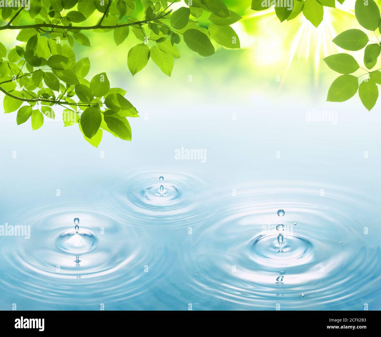 Leaf Water Wallpaper