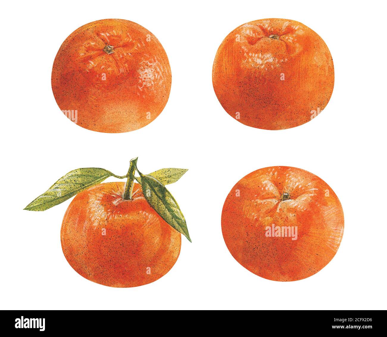 Chinese mandarin Cut Out Stock Images & Pictures - Alamy