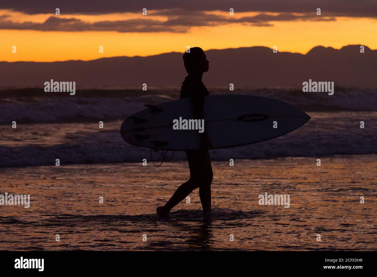 Surfers at sunset on a beach in Enoshima, Kanagawa, Japan Stock Photo ...