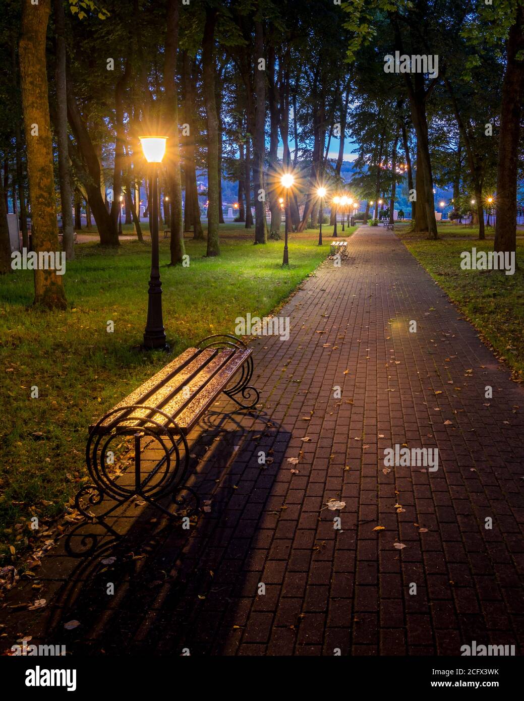A night park lit by lanterns with a stone pavement, trees, fallen ...