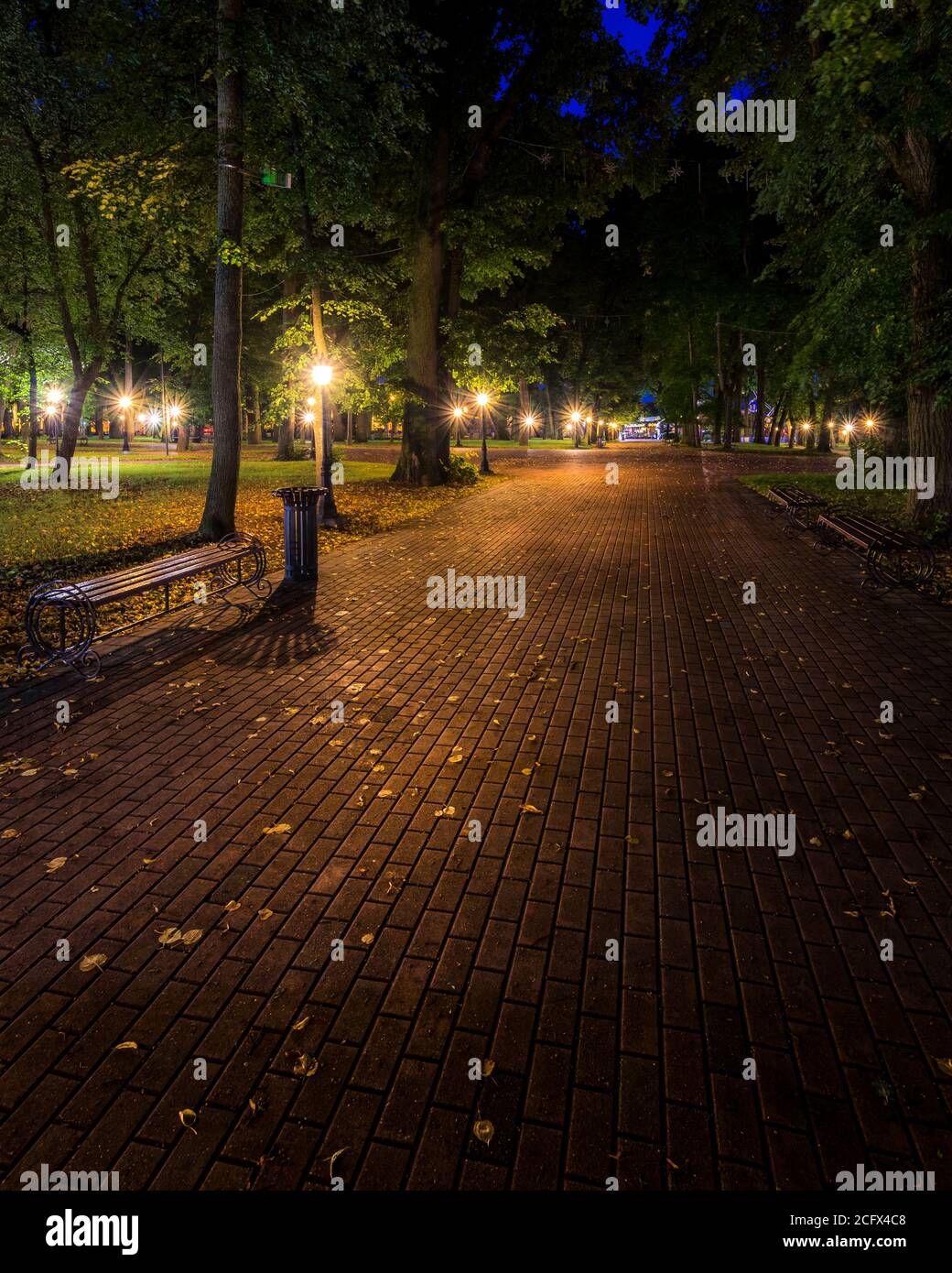 A night park lit by lanterns with a stone pavement, trees, fallen ...
