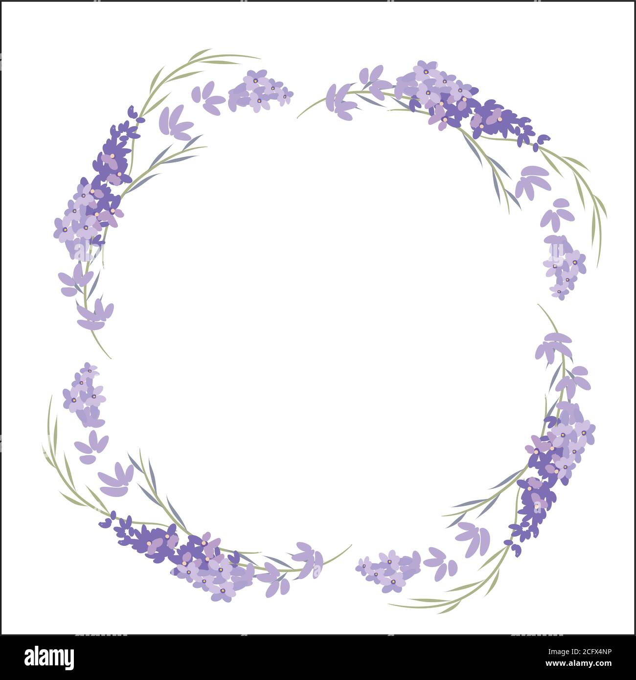 Fresh cut fragrant lavender plant flowers bunch and single 2 realistic ...