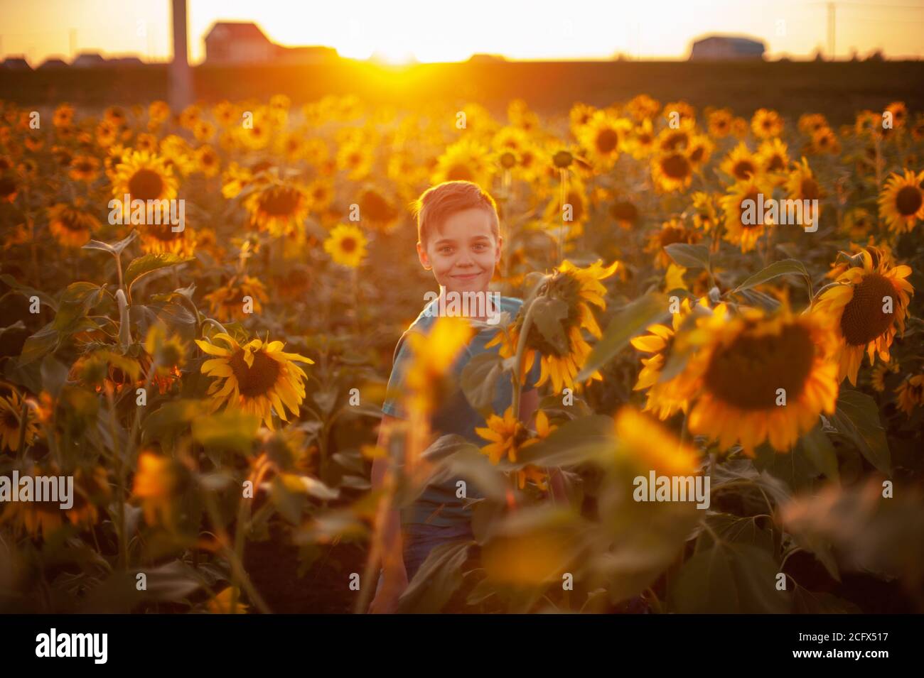 Portrait of beautiful blond kid boy on summer sunflower field Stock ...