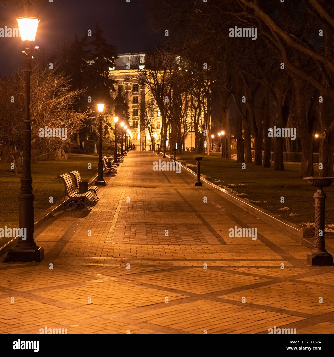 Night winter city park with row of lanters and benches. Park path in ...