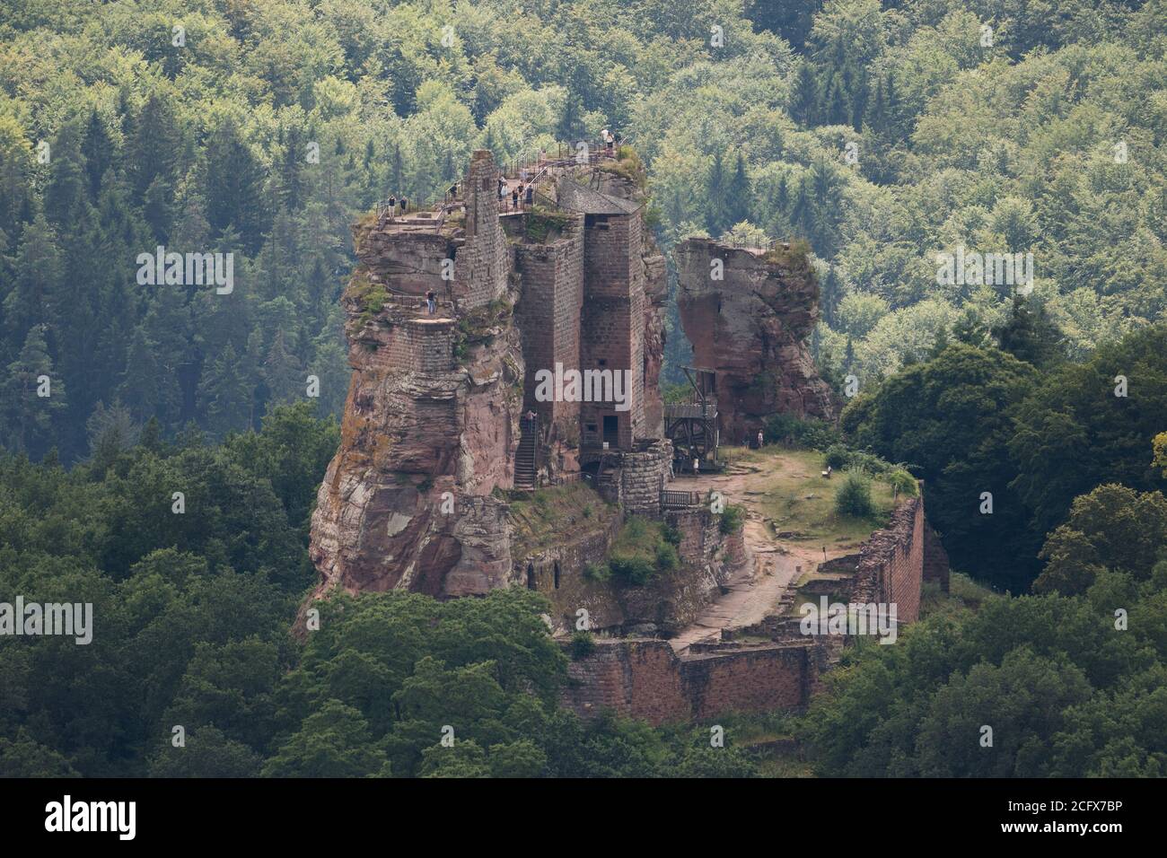 beatiful landscape of the pfälzer wald wood hills, rheinland-pfalz ...