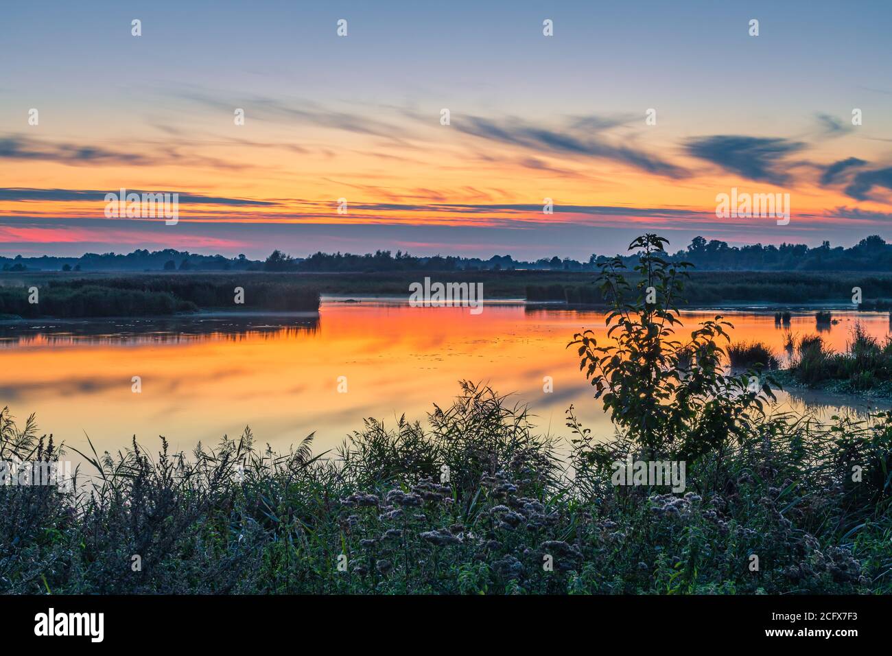 Landscape the Onlanden, a nature reserve at the border of provinces of ...
