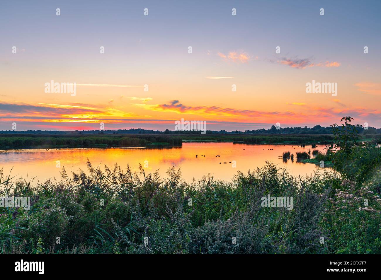 Landscape the Onlanden, a nature reserve at the border of provinces of ...