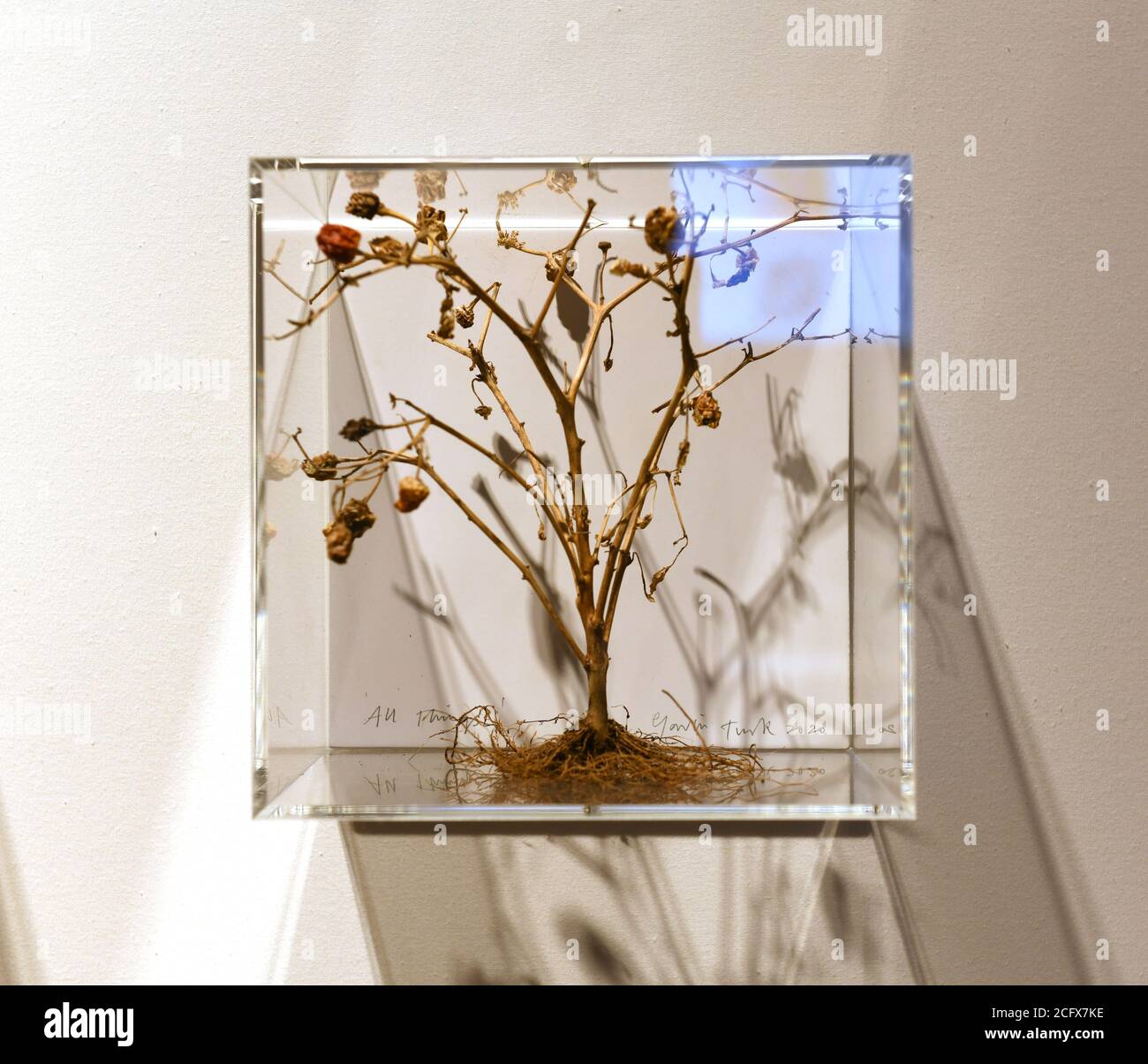 Perspex box art hi-res stock photography and images - Alamy