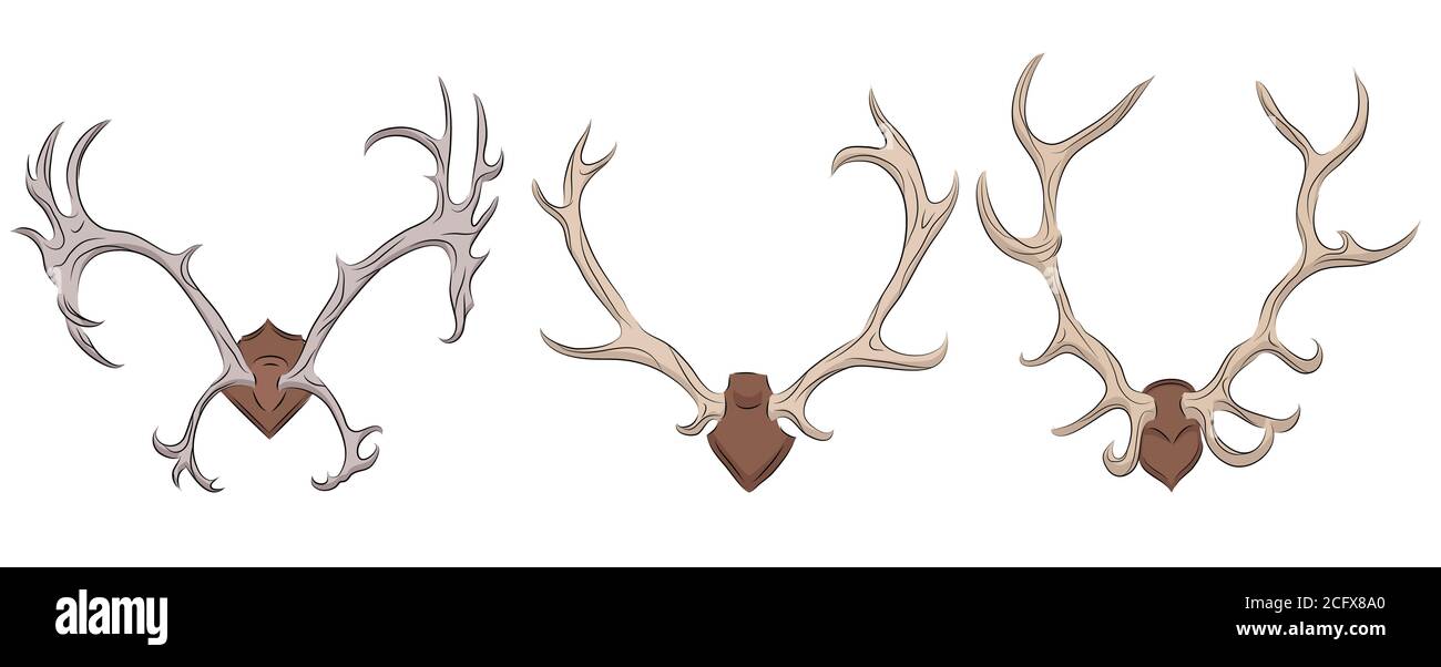 Set of different deer antlers. Vector element for your design Stock ...