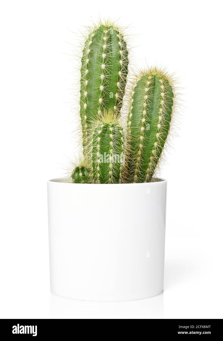 Tus Cut Out Stock Images & Pictures - Alamy