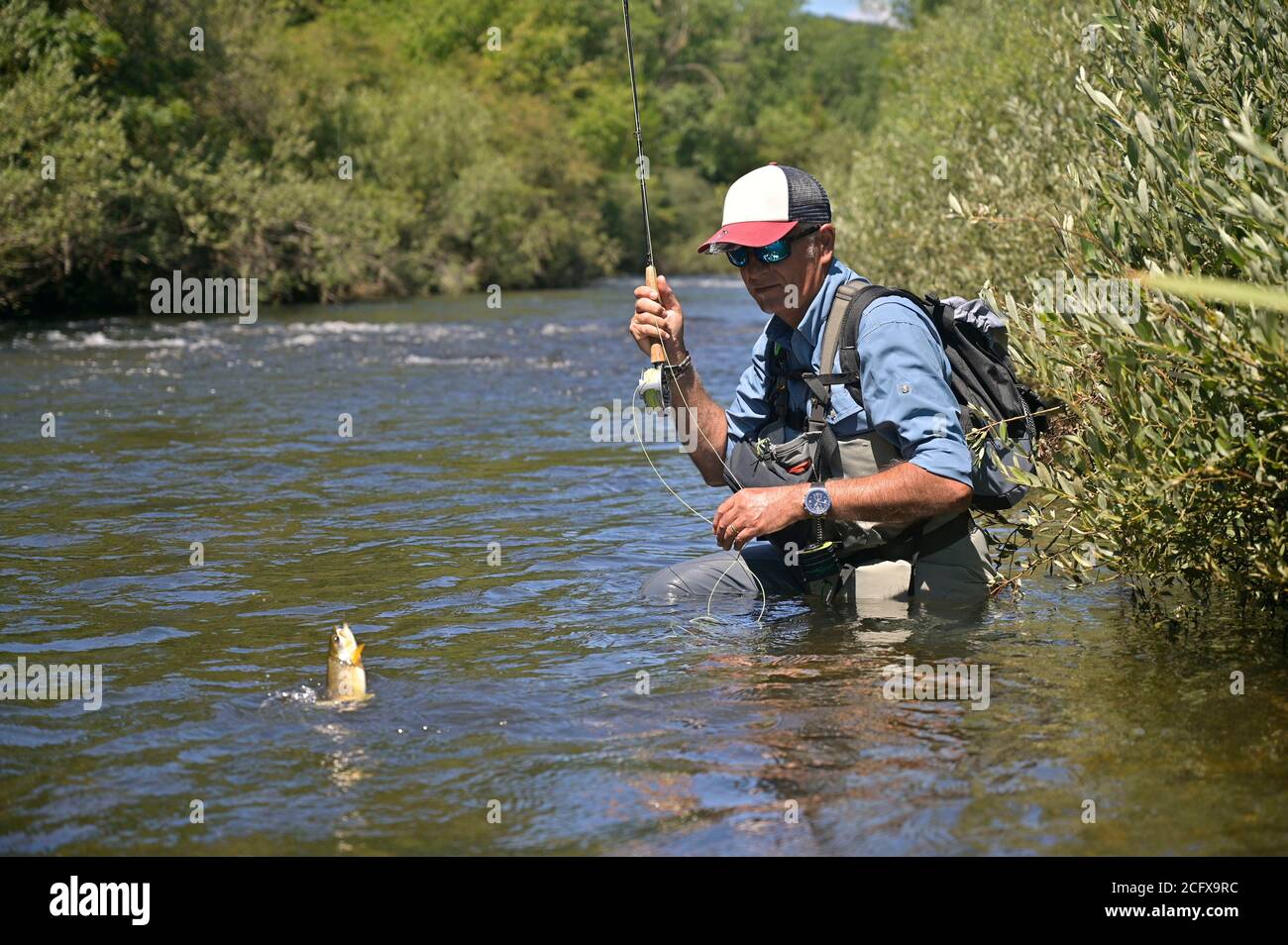fly fisherman in summer catching brown trout fishing in a mountain ...