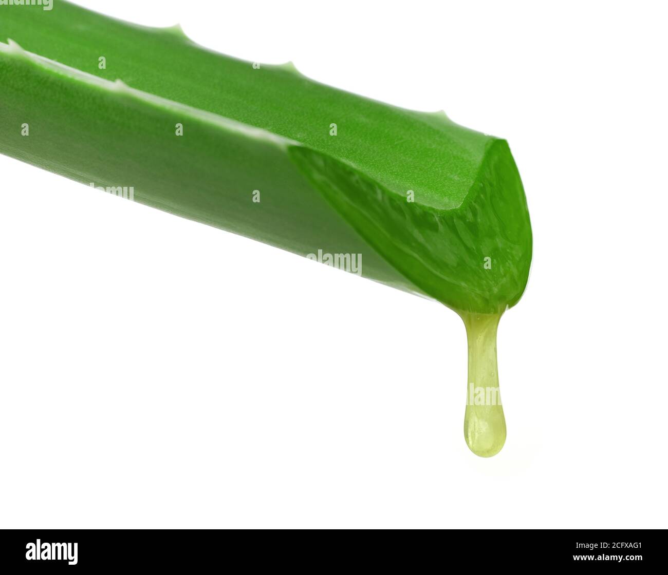 Aloe vera drop close-up, isolated on white Stock Photo - Alamy