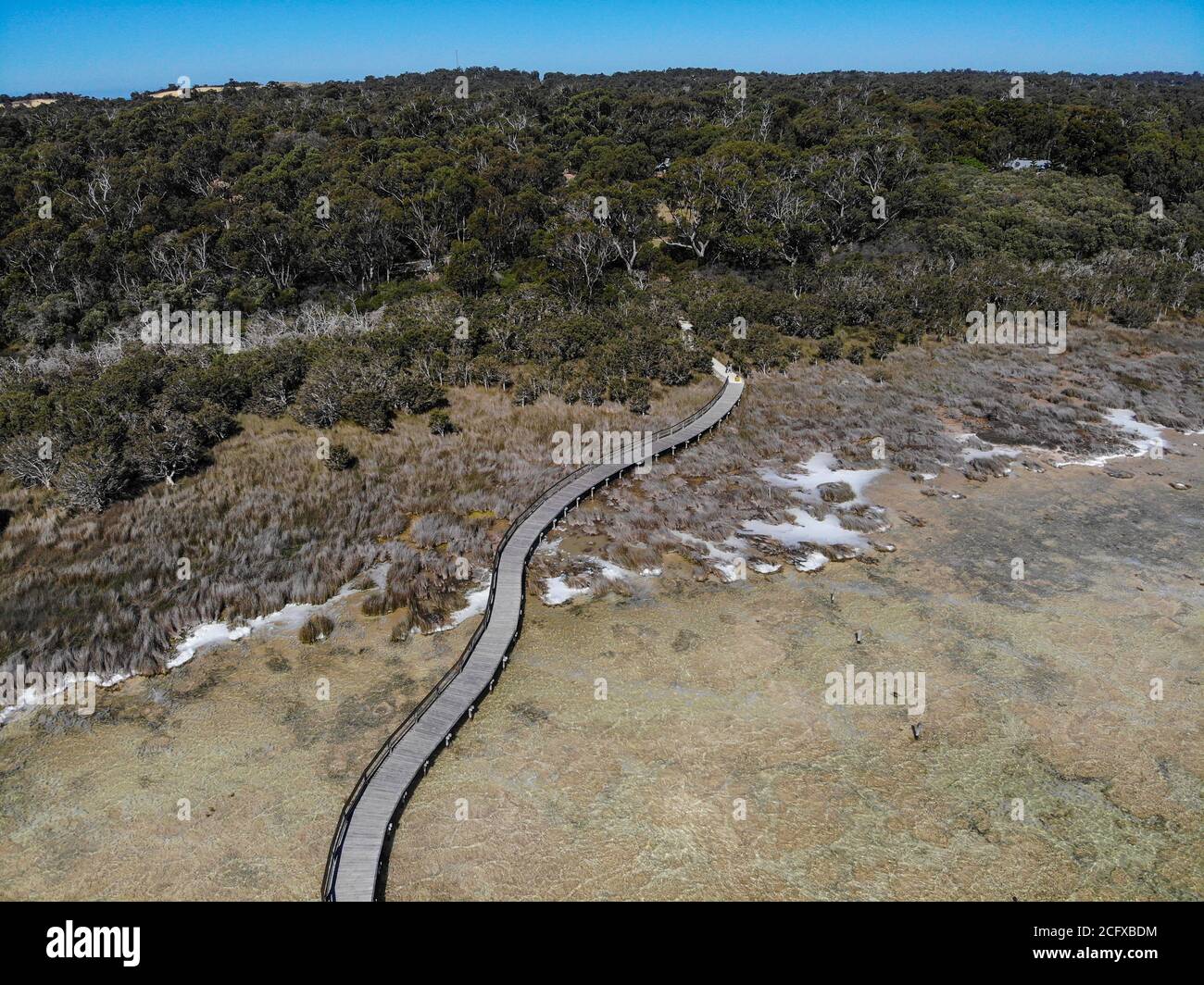Aerial photograph above the shore and boardwalk of Lake Clifton in ...