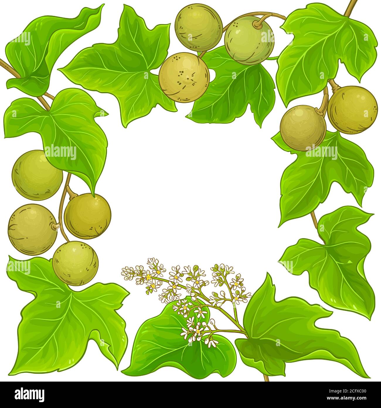 Kukui Candlenut Tree High Resolution Stock Photography and Images - Alamy