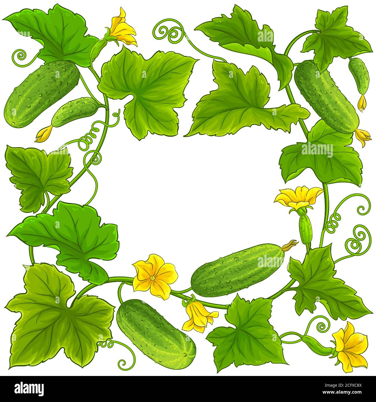 cucumber vector frame Stock Vector Image & Art - Alamy