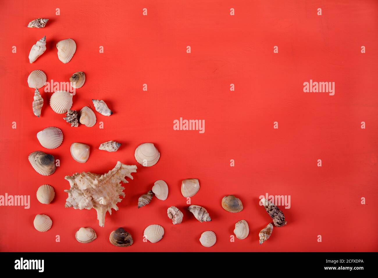 A large shell and small seashells are beautifully scattered against a ...