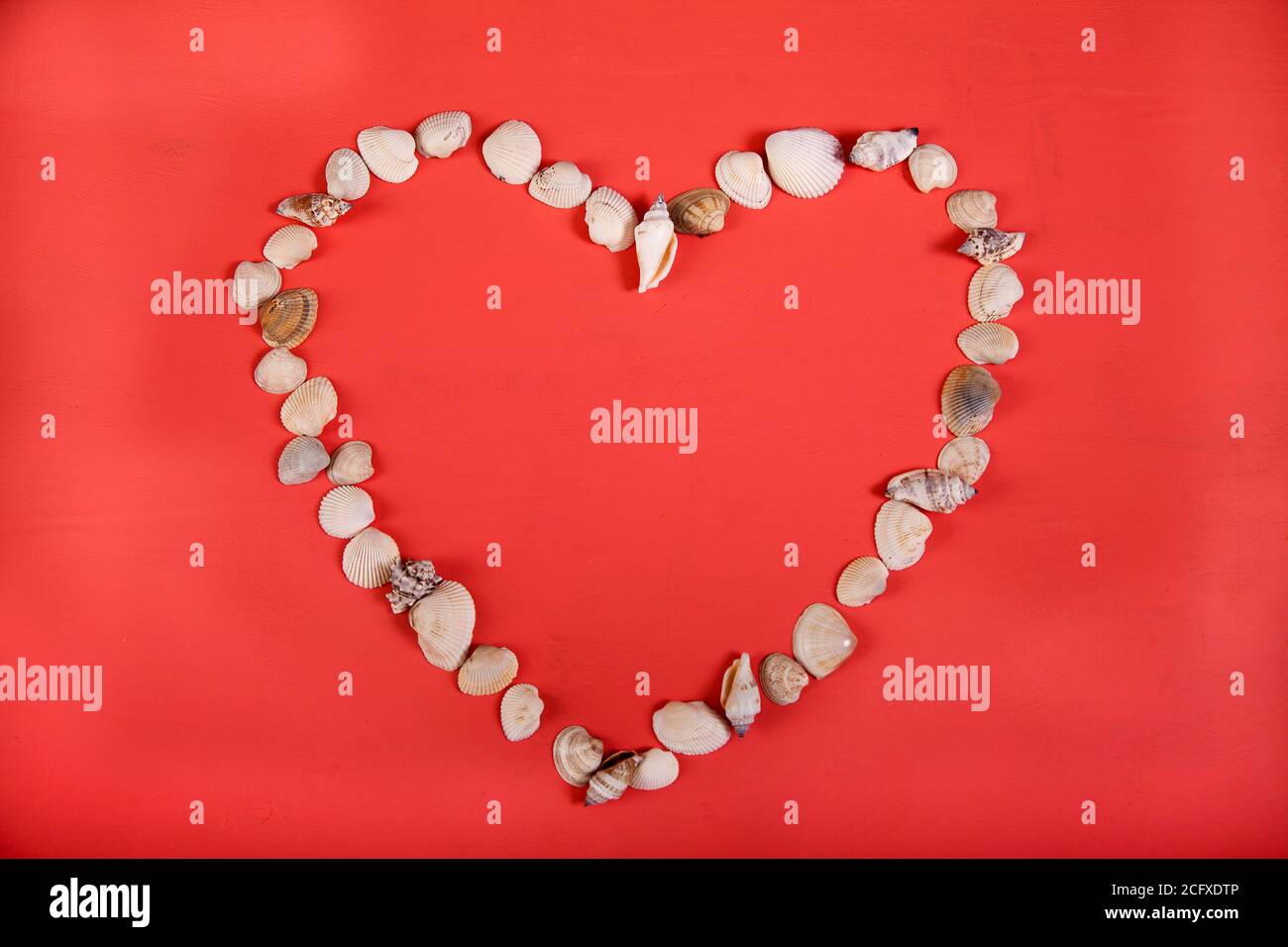 Heart-shaped seashells lie on a pink background. Copy spaes Stock Photo ...