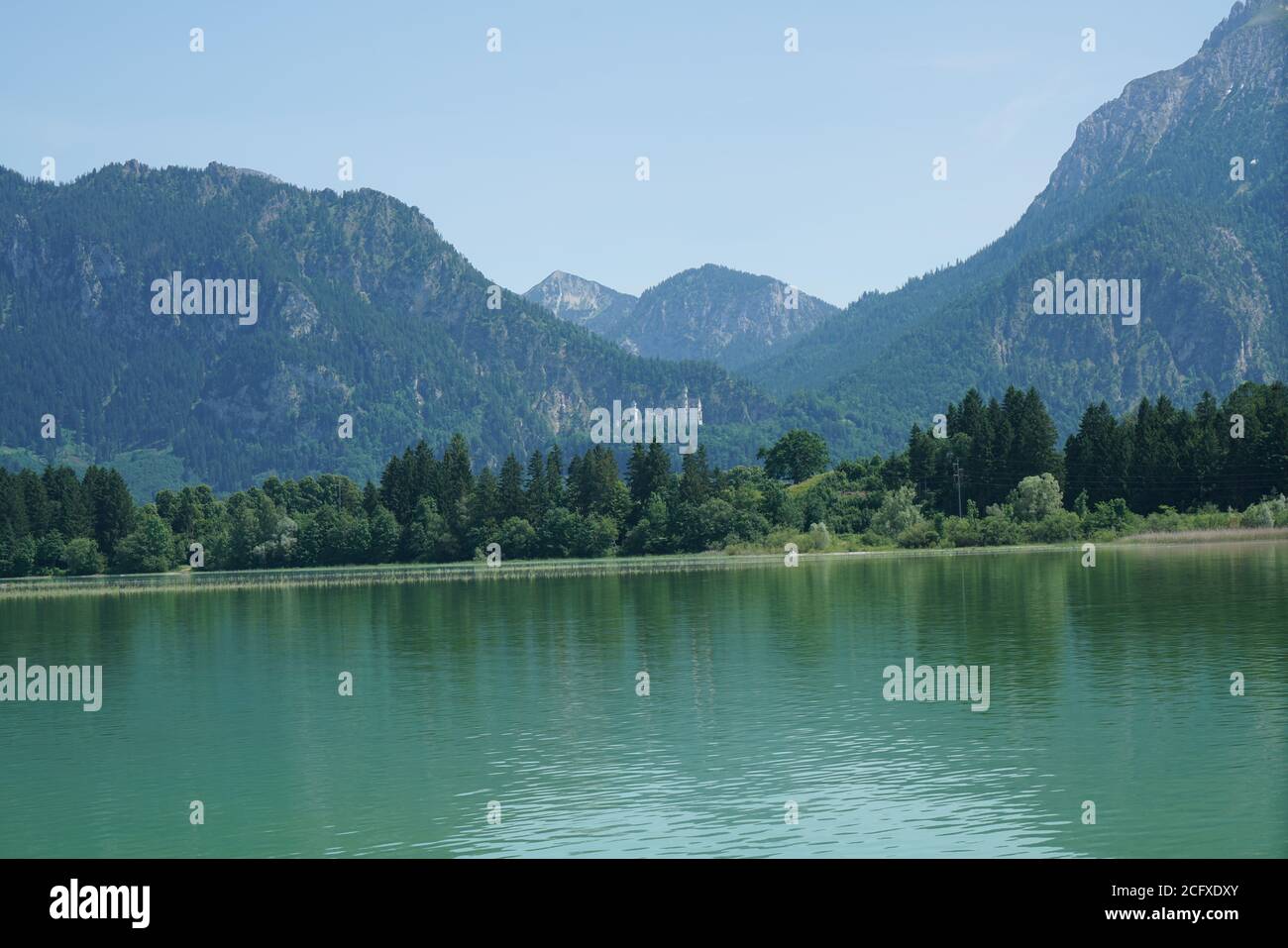 Beautiful view of Forggensee with Neuschwanstein Castle seen in the ...