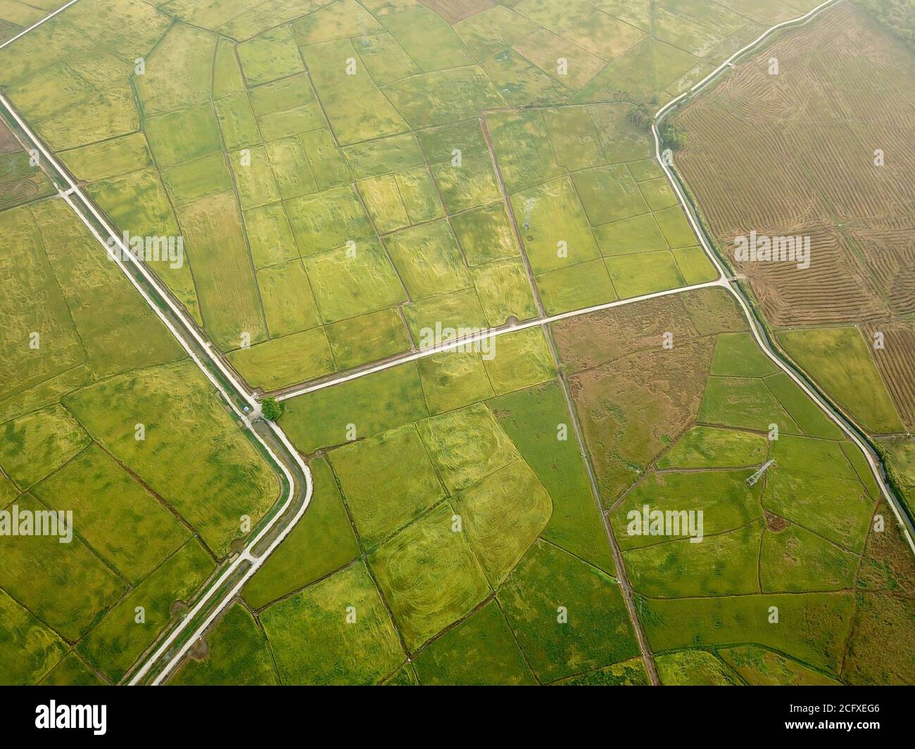 Birds-eye view of a paddy field Stock Photo - Alamy