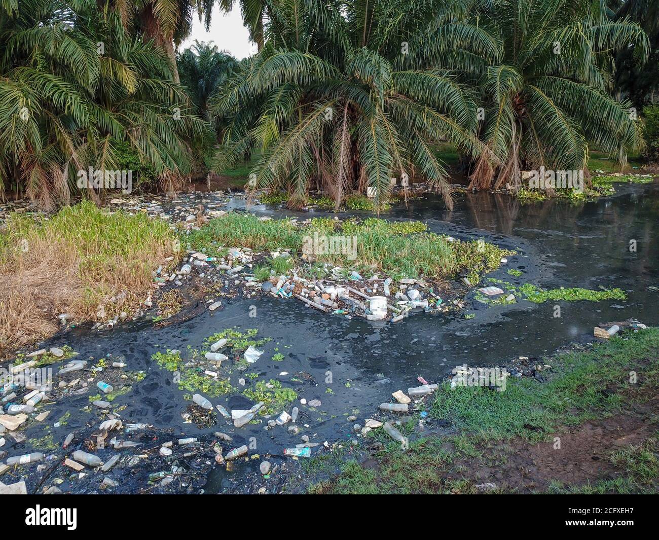 Pile of rubbish in a pond near palm tree field Stock Photo - Alamy
