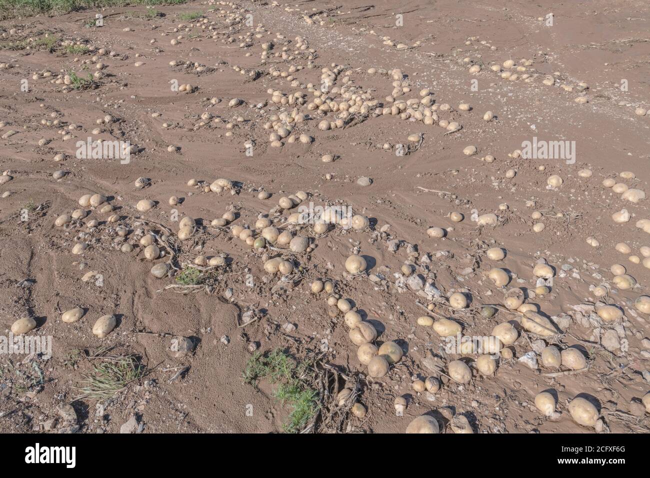 Soil spill hi-res stock photography and images - Alamy
