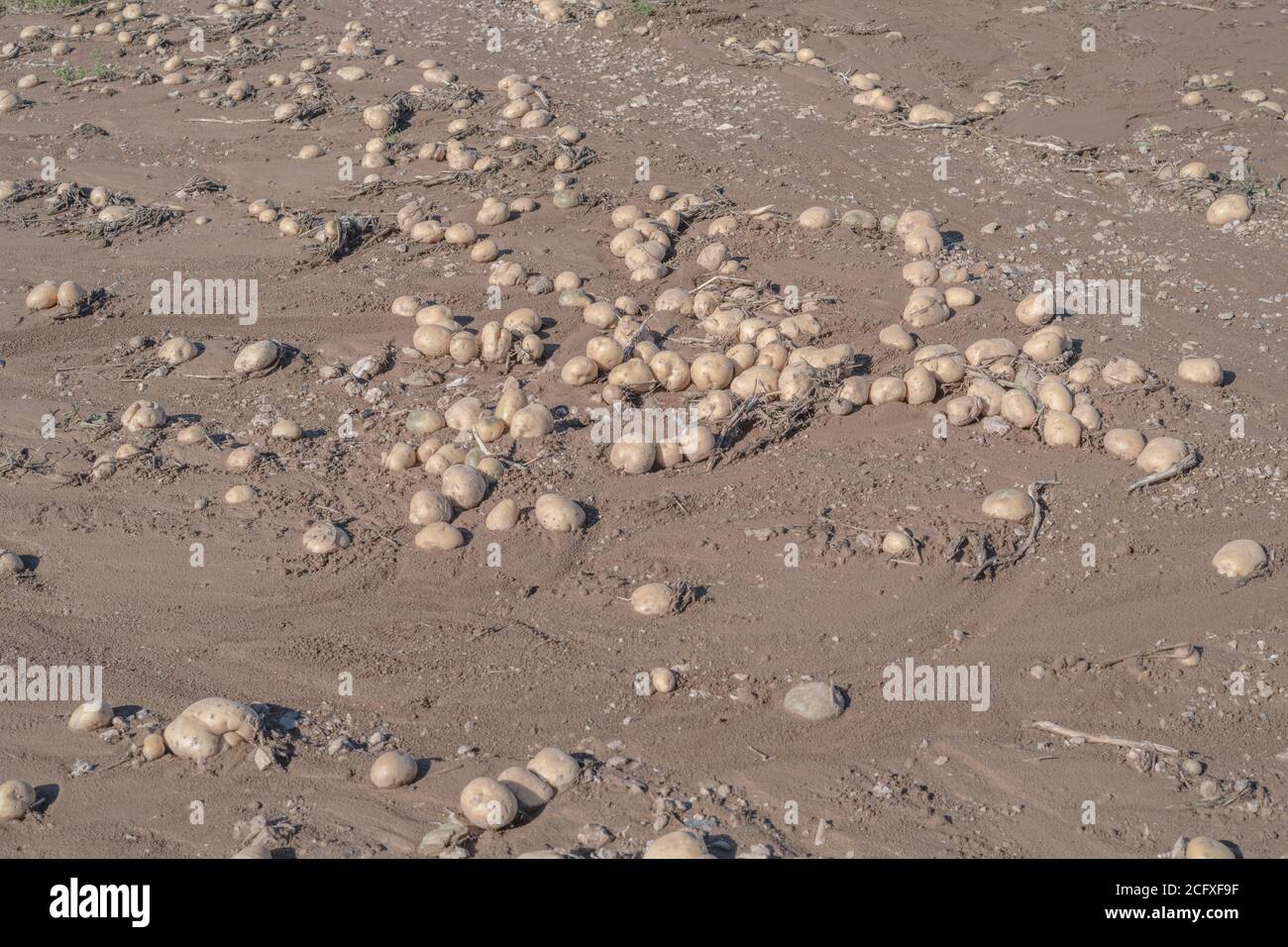 Hot potato dropped metaphor hi-res stock photography and images - Alamy