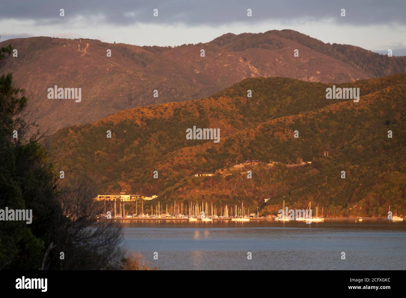 Waikawa bay hi-res stock photography and images - Alamy