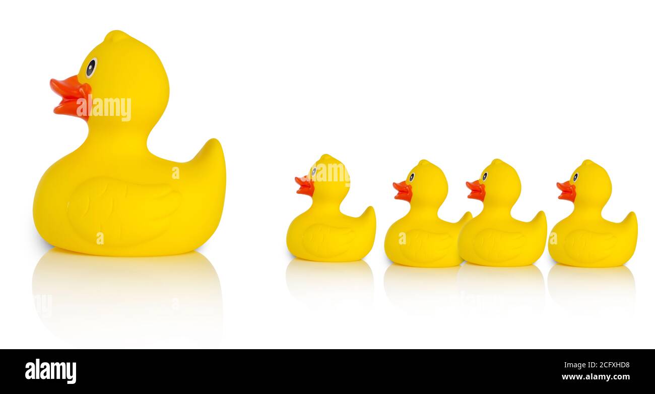 Mother rubber duck leading several rubber ducklings Stock Photo - Alamy