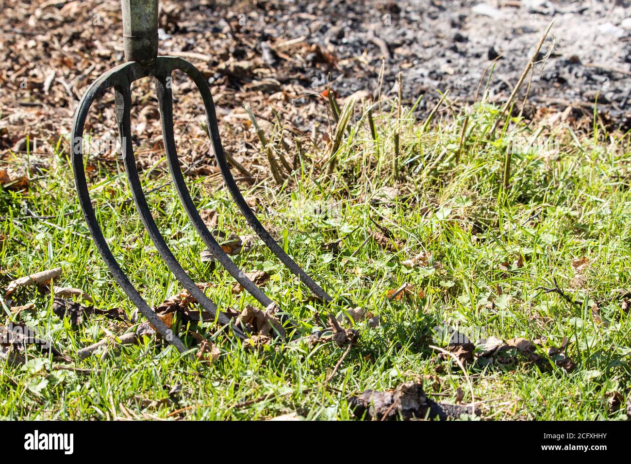 Closeup shot of a pitchfork in the grass Stock Photo - Alamy