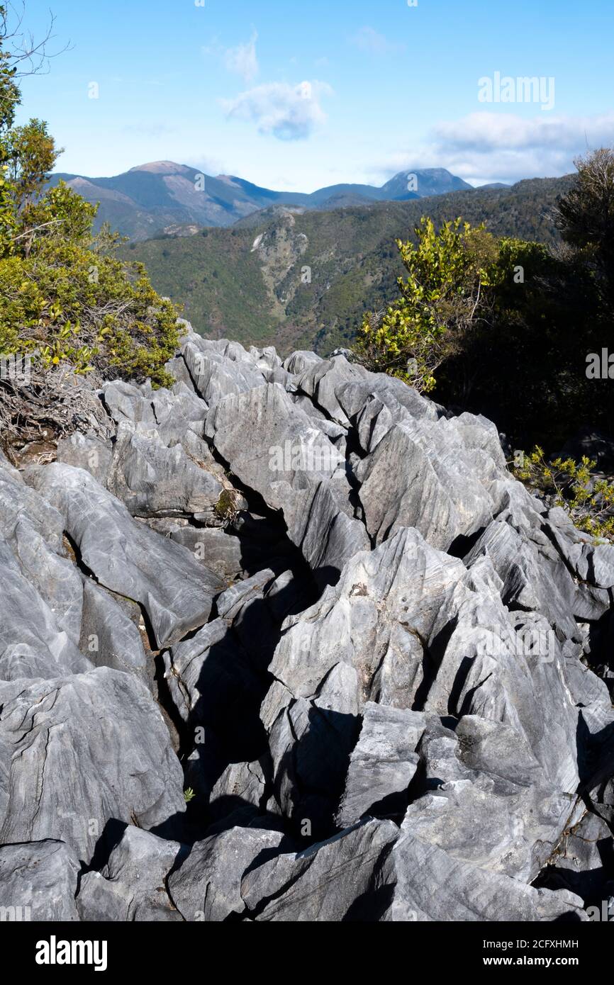 Limestone rock formations, Hawkes lookout, Takaka Hill, near Motueka ...