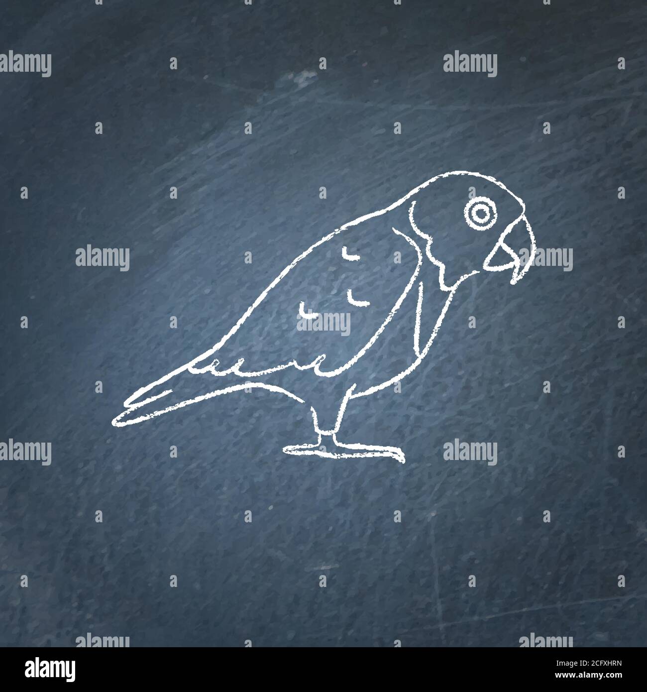 Senegal parrot icon sketch on chalkboard. Exotic tropical bird symbol ...