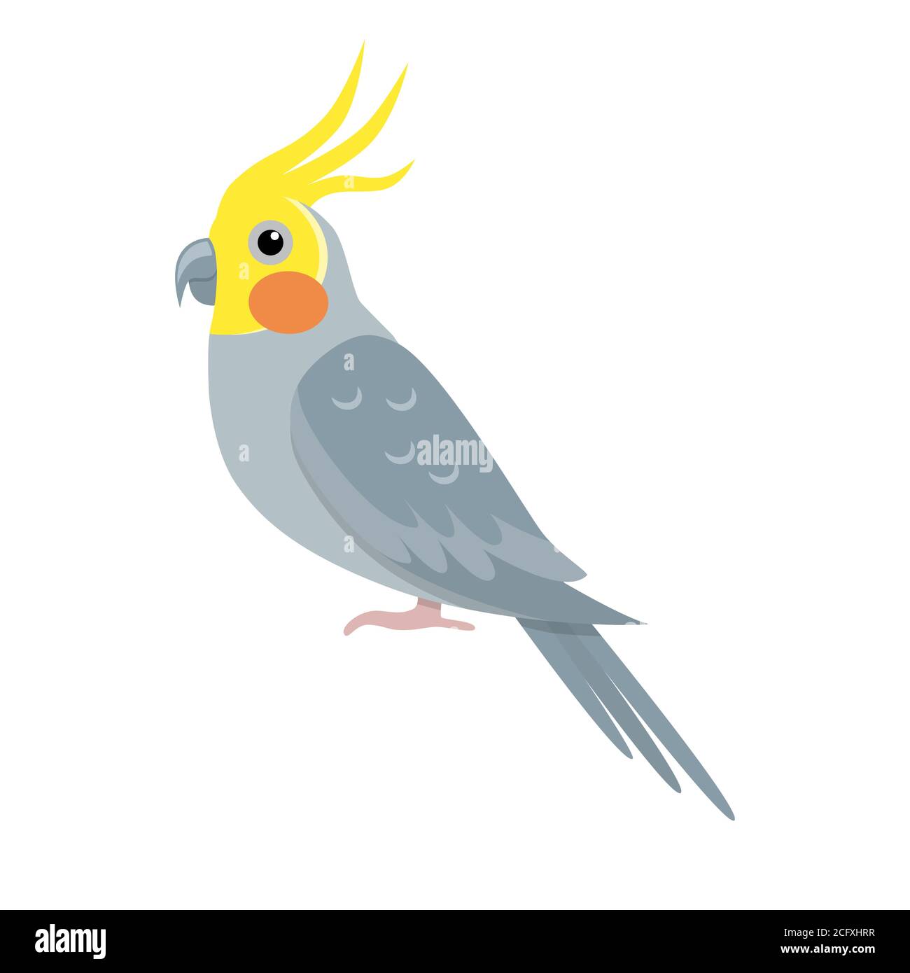 Australian corella Stock Vector Images - Alamy