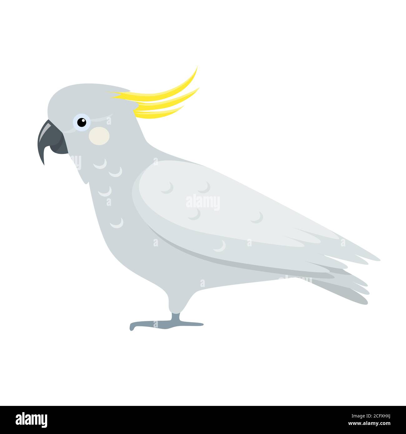 Cockatoo parrot icon in flat style. Australian tropical bird symbol on ...