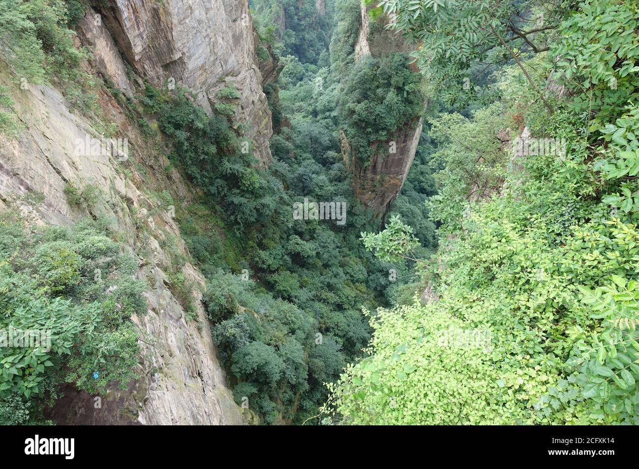 Zhangjiajie National Forest Park, Wulingyuan Scenic Area Stock Photo ...