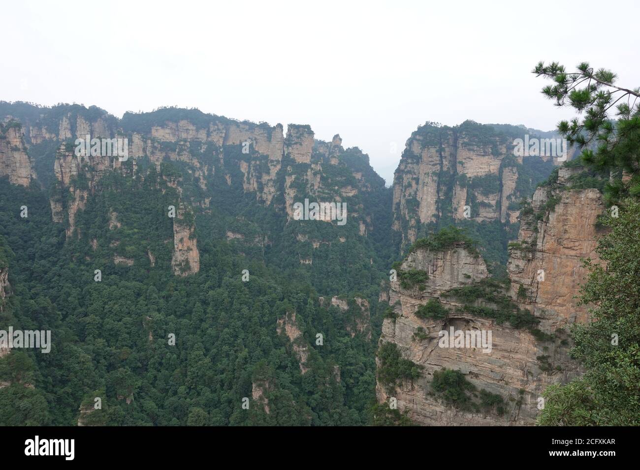 Zhangjiajie National Forest Park, Wulingyuan Scenic Area Stock Photo ...