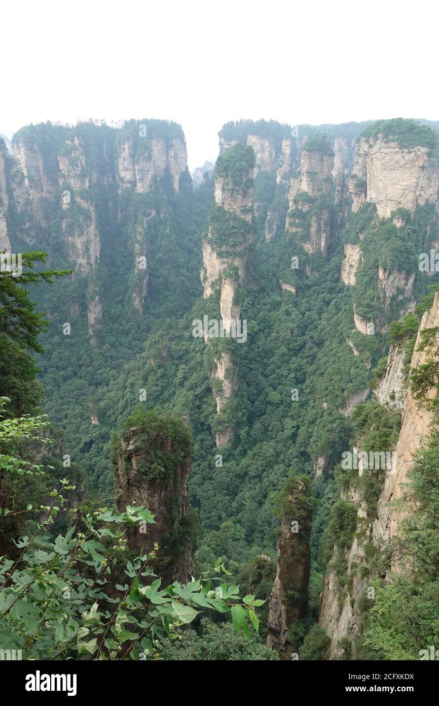 Zhangjiajie National Forest Park, Wulingyuan Scenic Area Stock Photo ...