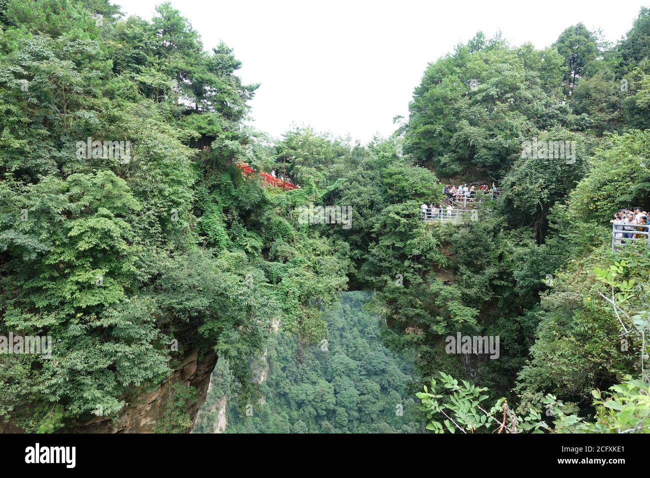 Zhangjiajie National Forest Park, Wulingyuan Scenic Area Stock Photo ...