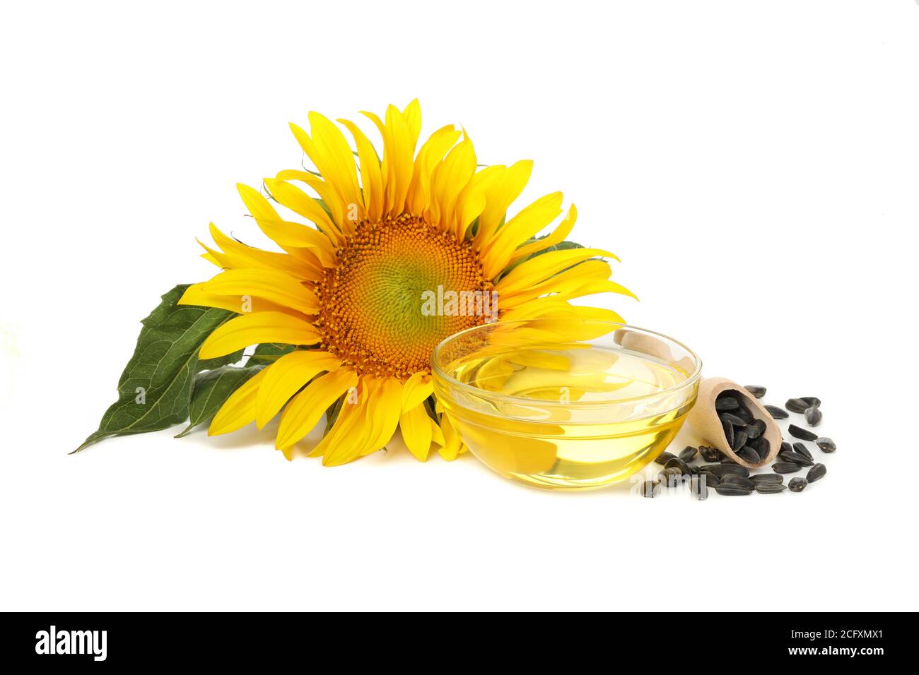 Sunflower, seeds and oil isolated on white background Stock Photo - Alamy