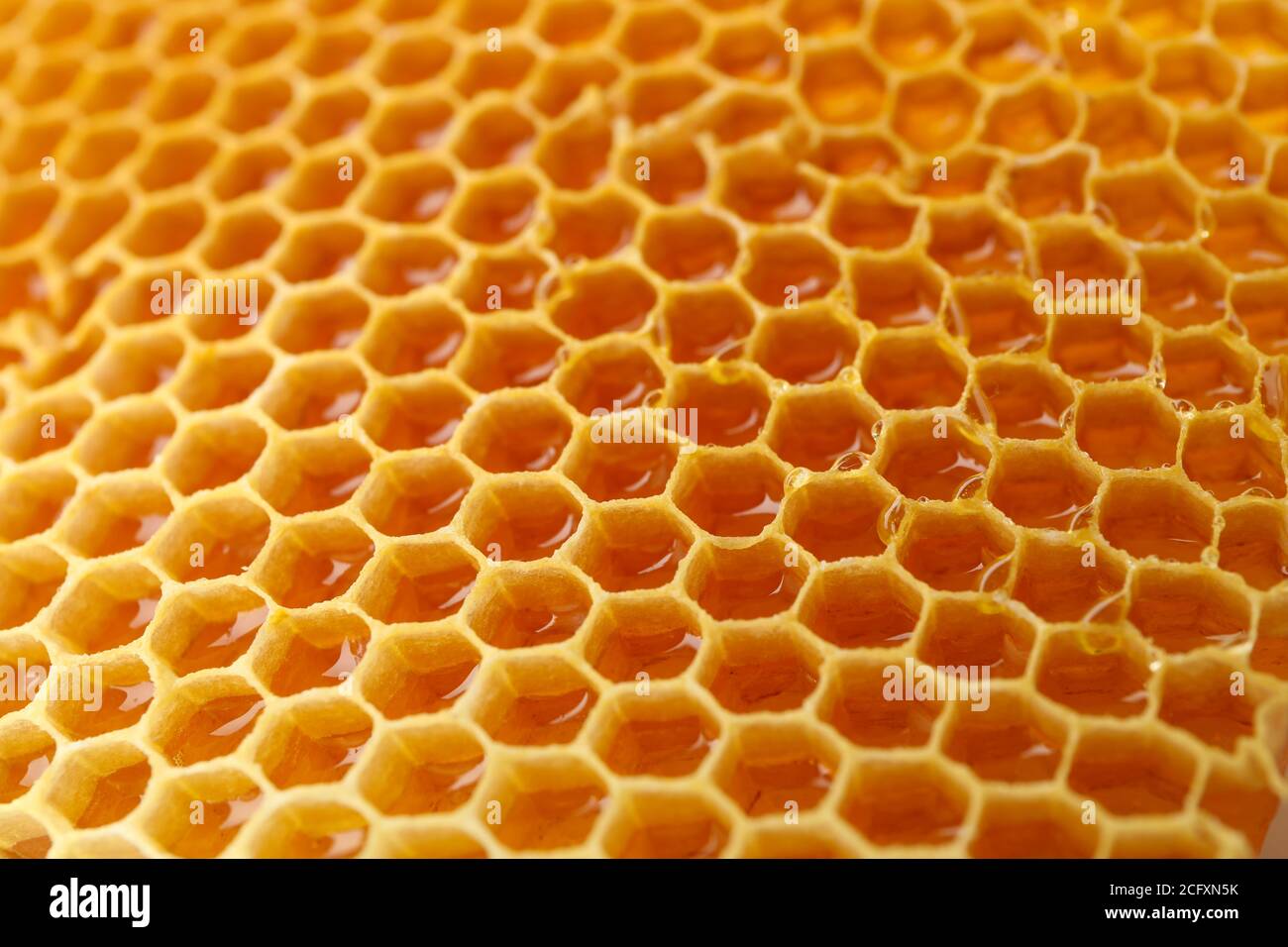 Fresh honeycomb on whole background, close up Stock Photo - Alamy