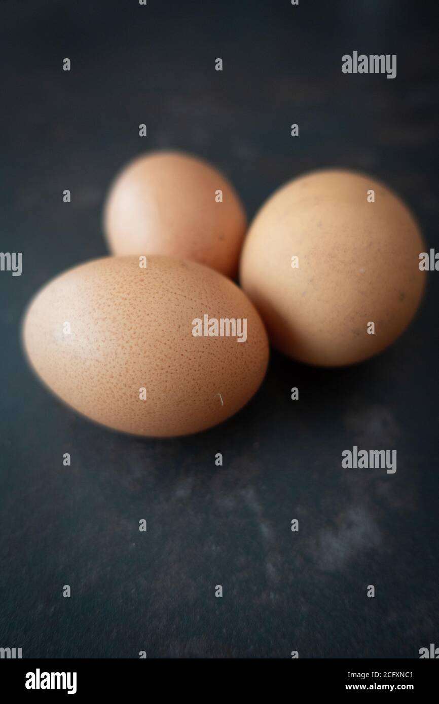 Home laid eggs hi-res stock photography and images - Alamy