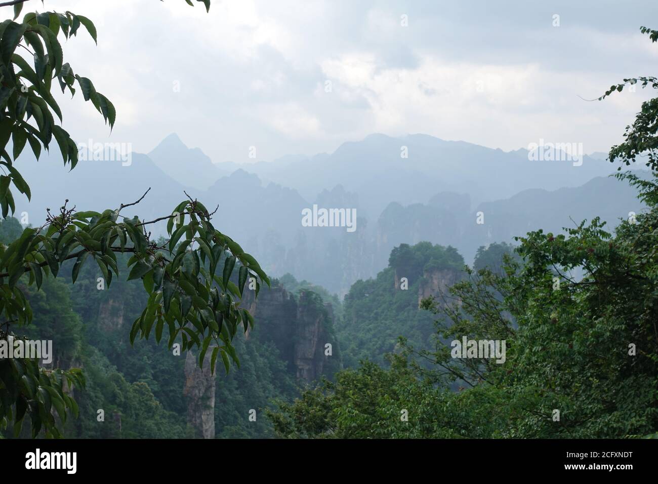 Zhangjiajie National Forest Park, Wulingyuan Scenic Area Stock Photo ...