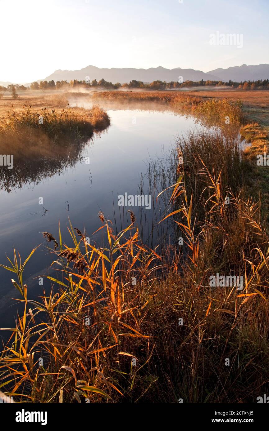 Autumn in uffing in the staffelsee hi-res stock photography and images ...