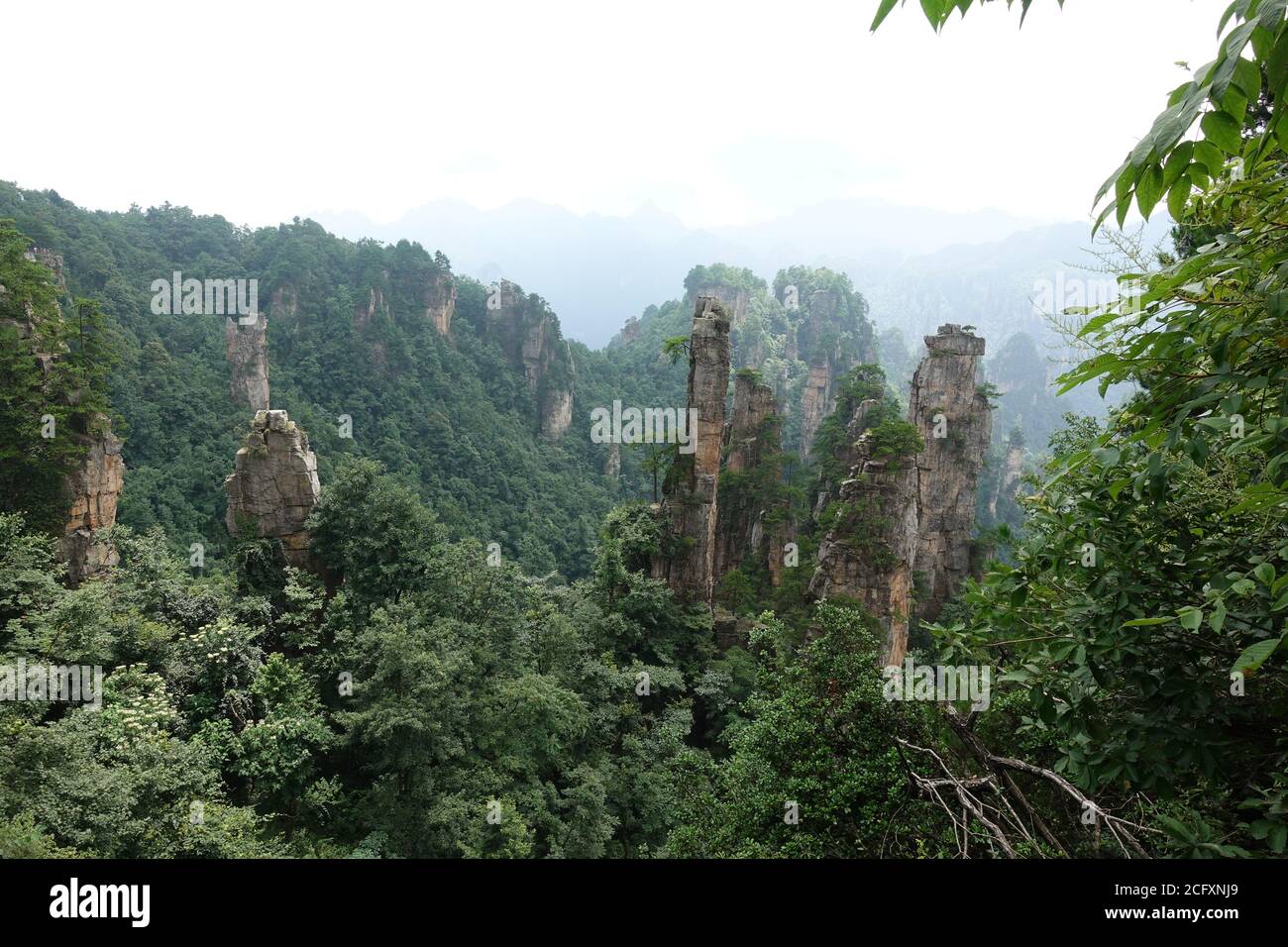 Zhangjiajie National Forest Park, Wulingyuan Scenic Area Stock Photo ...
