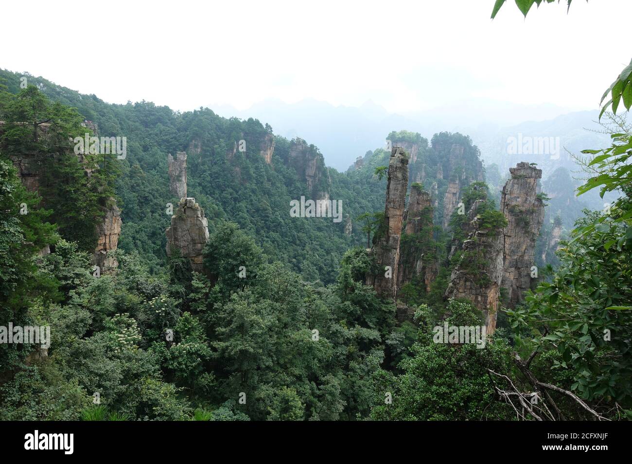 Zhangjiajie National Forest Park, Wulingyuan Scenic Area Stock Photo ...