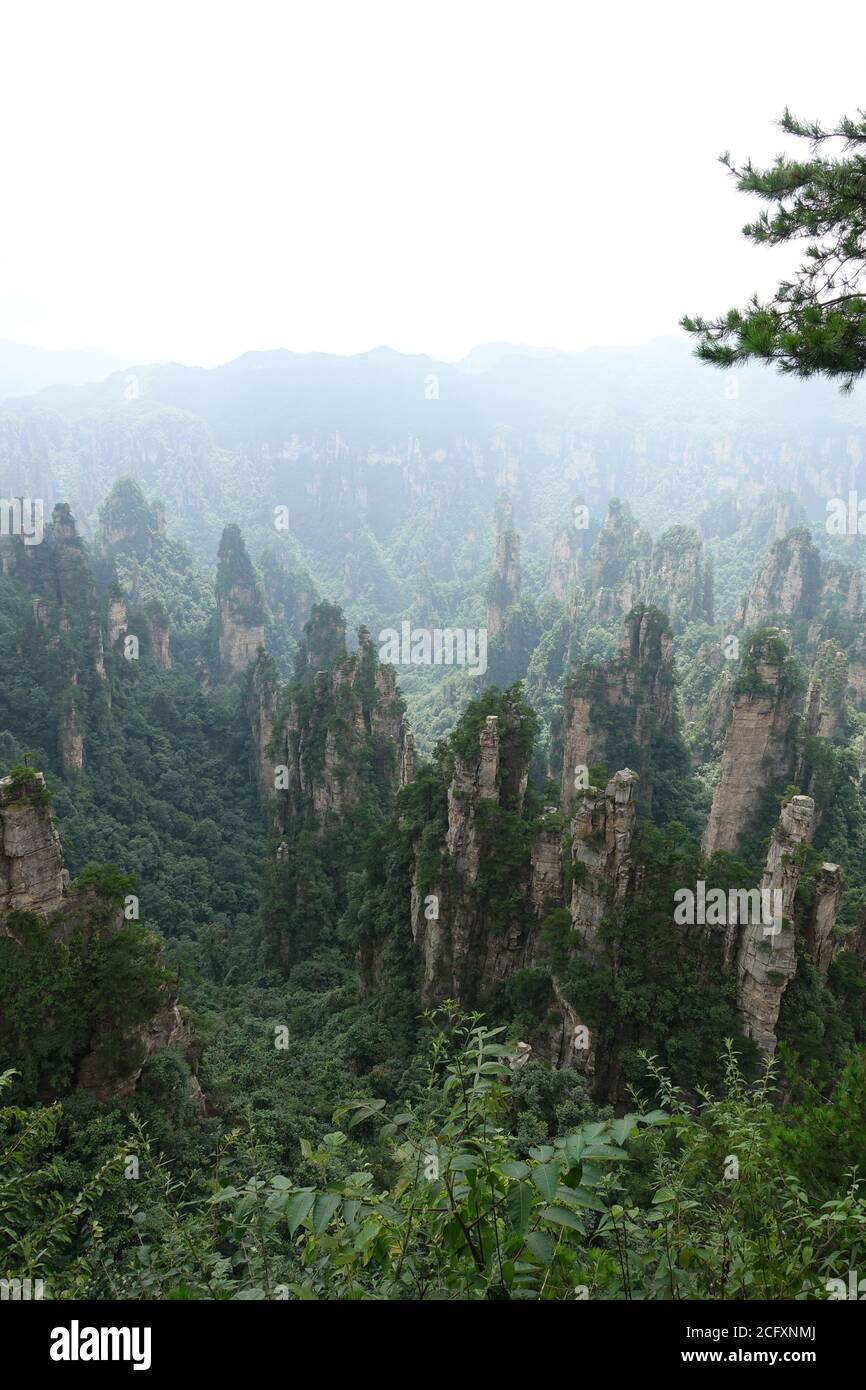 Zhangjiajie National Forest Park, Wulingyuan Scenic Area Stock Photo ...