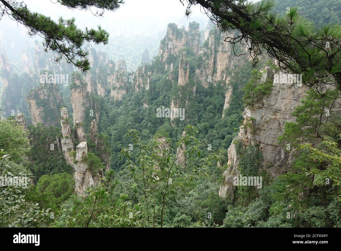 Zhangjiajie National Forest Park, Wulingyuan Scenic Area Stock Photo ...