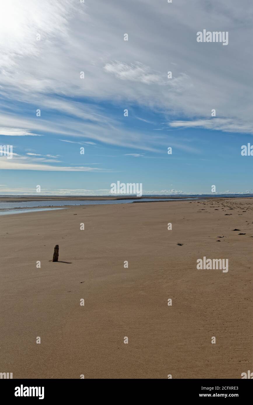 The smooth wide sandy beach at Tentsmuir Point on the Tay Estuary, with ...